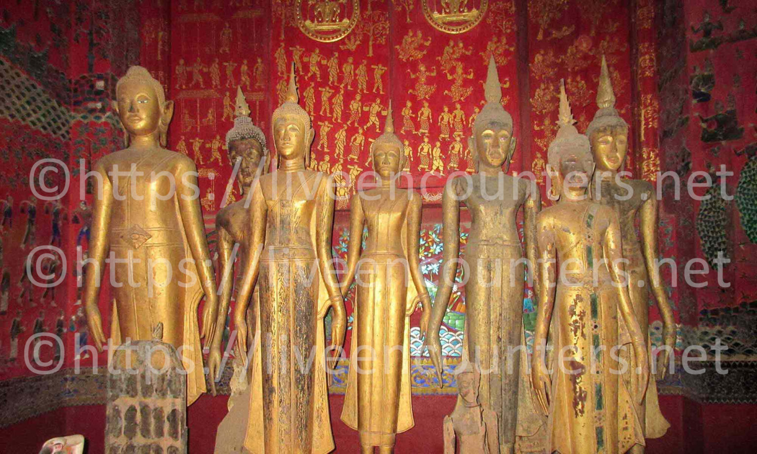 Hassan Najmi - The Boy - Live Encounters